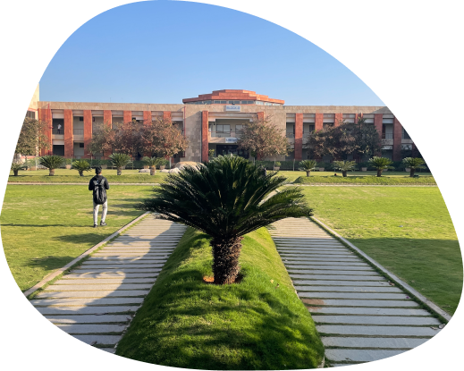 SU WEBSITE